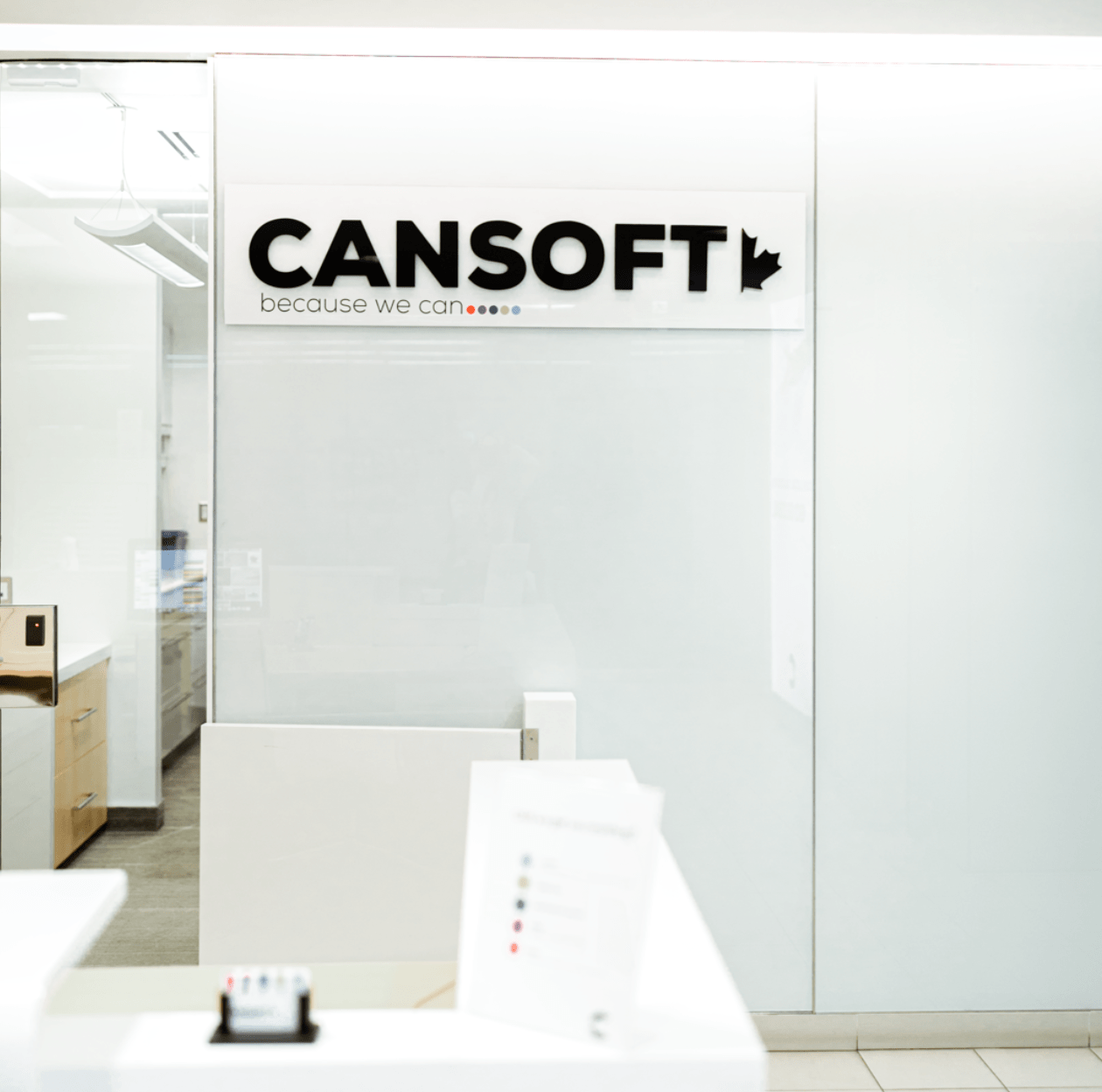 Biography of Kazi Mamun, CEO, Cansoft Technologies